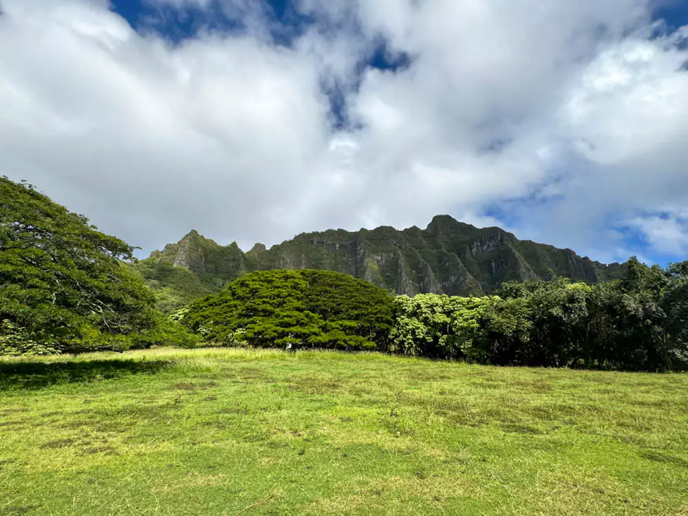 What To Expect On Kualoa Ranch’s Jungle Expedition Tour