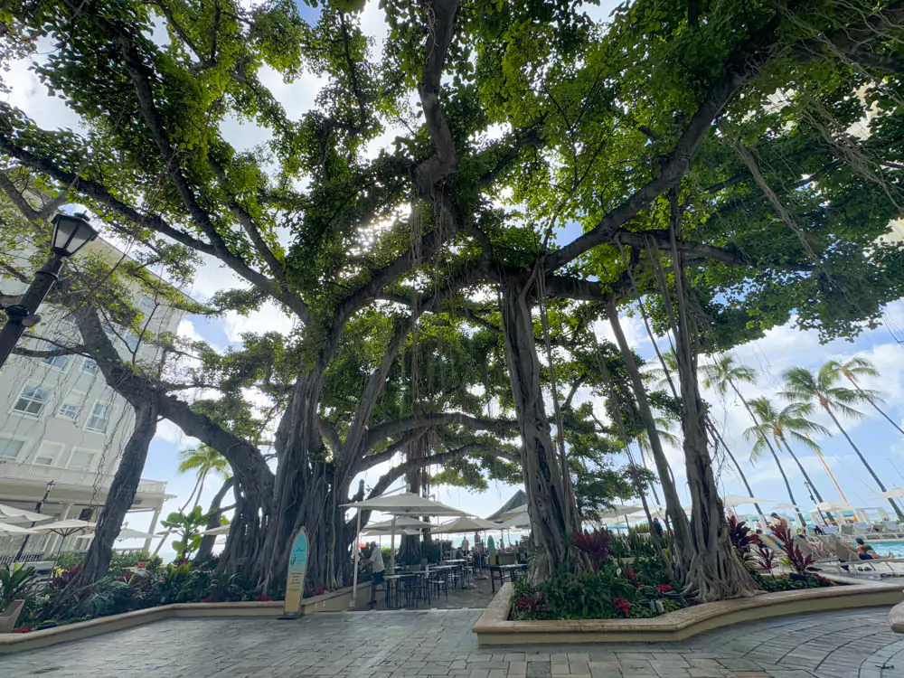 Ultimate 5 Days In Oahu Travel Itinerary: Discover Paradise
