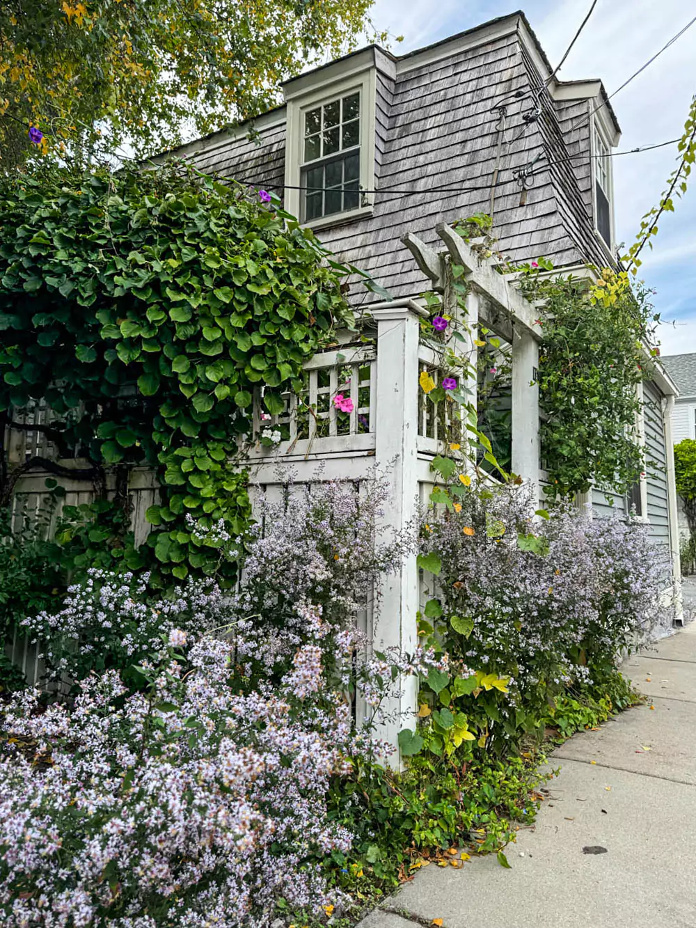 The Ultimate Guide To Visiting Salem In October