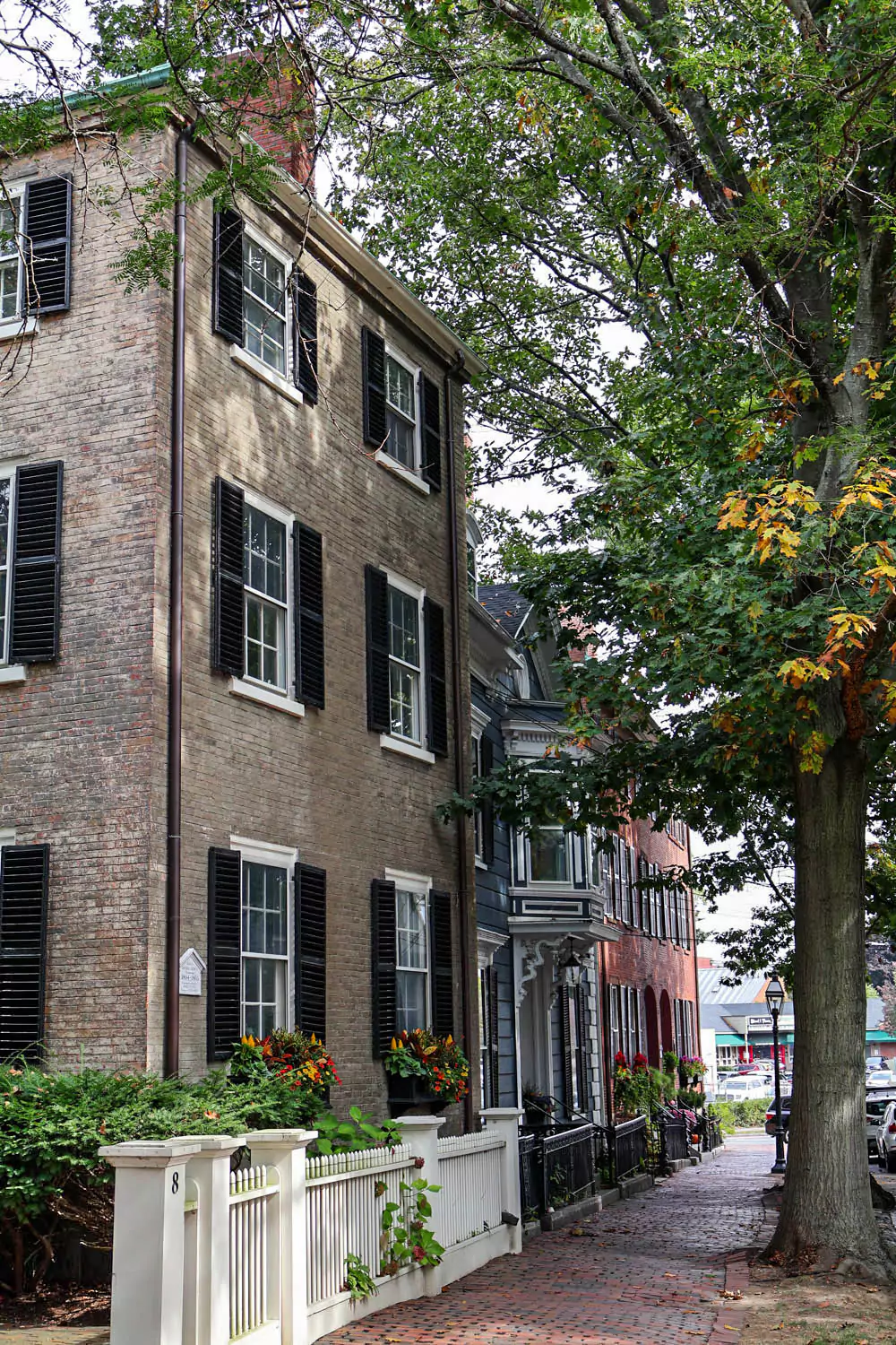 The Ultimate List Of Things To Do In Salem In October