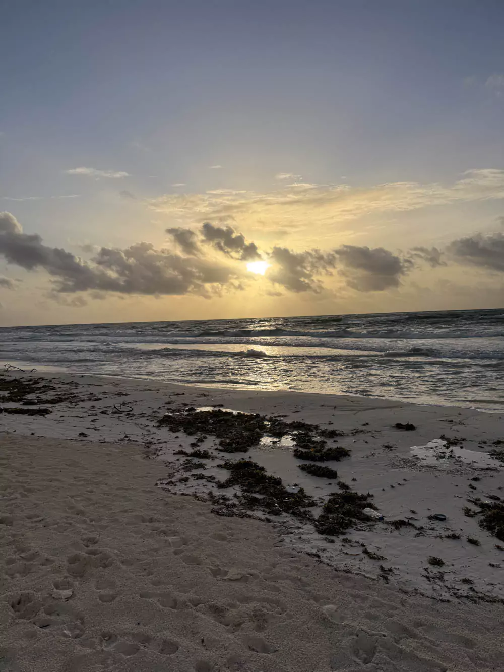 The Top 13 Things To Know Before Visiting Tulum