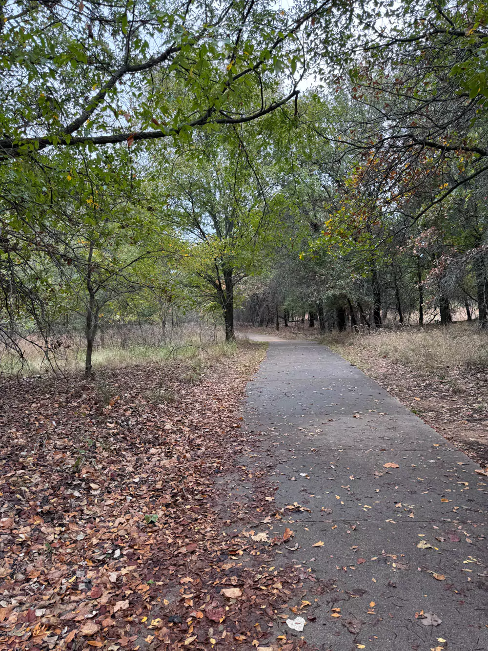 Guide To Ray Roberts Lake State Park